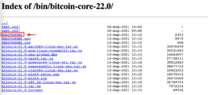 如何搭建 Bitcoin Core 比特币全节点 - 王一石