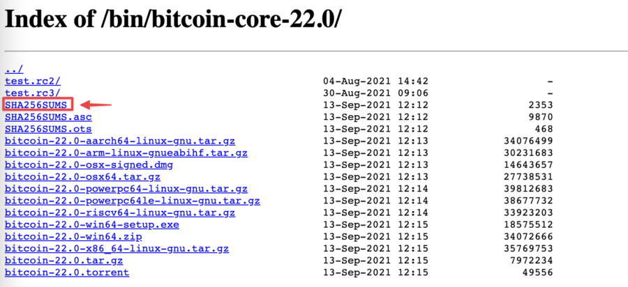 如何搭建 Bitcoin Core 比特币全节点 - 王一石