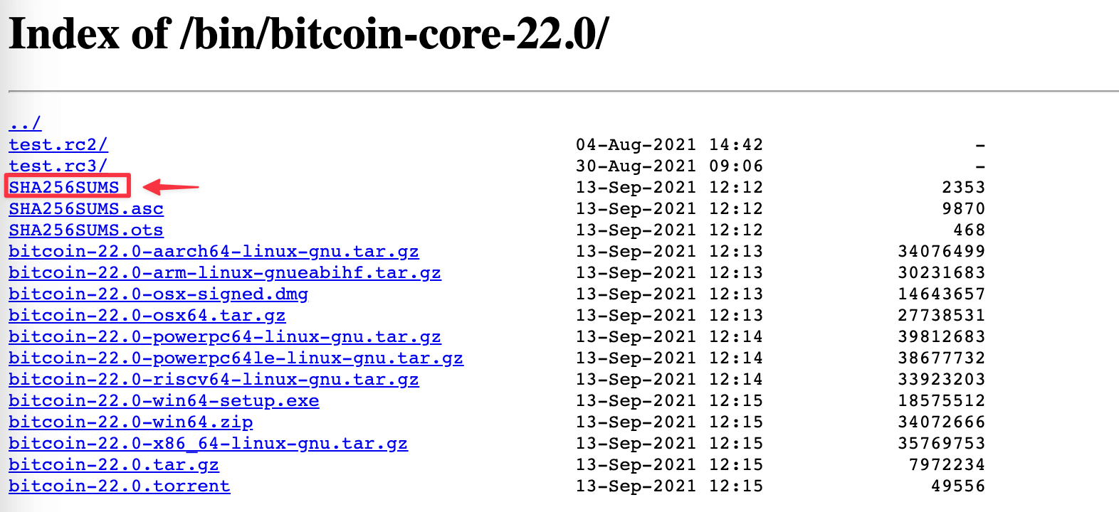 如何搭建 Bitcoin Core 比特币全节点 - 王一石